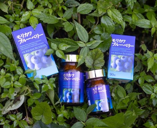 その他の健康補助食品 | 森川健康堂株式会社